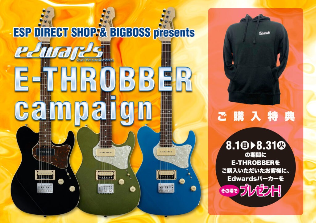 BIGBOSS お茶の水駅前店(ギター＆ベース)